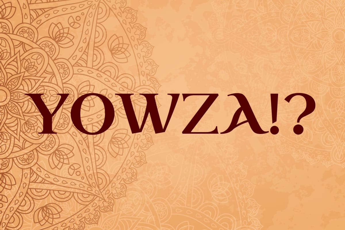 bird (@bird) - Yowza