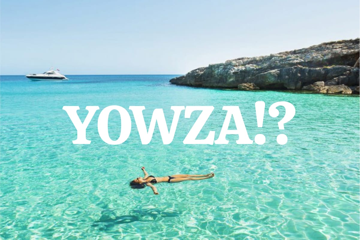 Meowza (@catcatcat) - Yowza