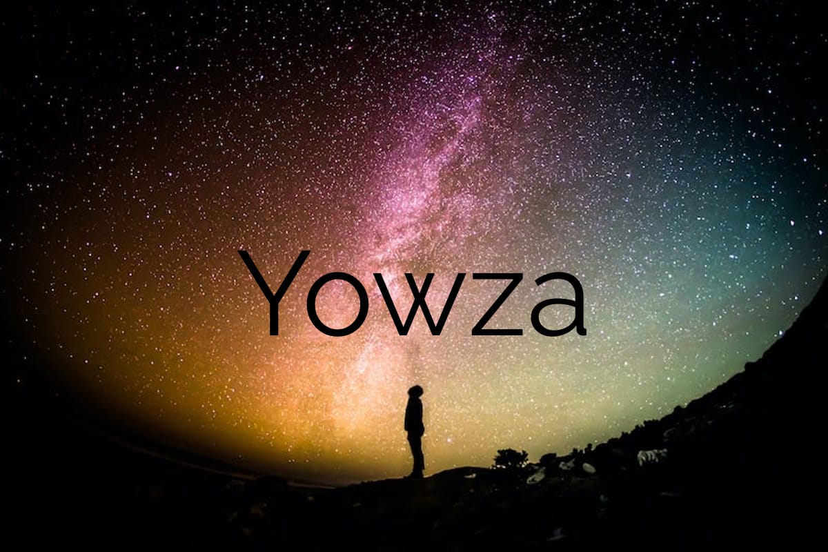 Please follow and yowza (@matthaeuu) - Yowza