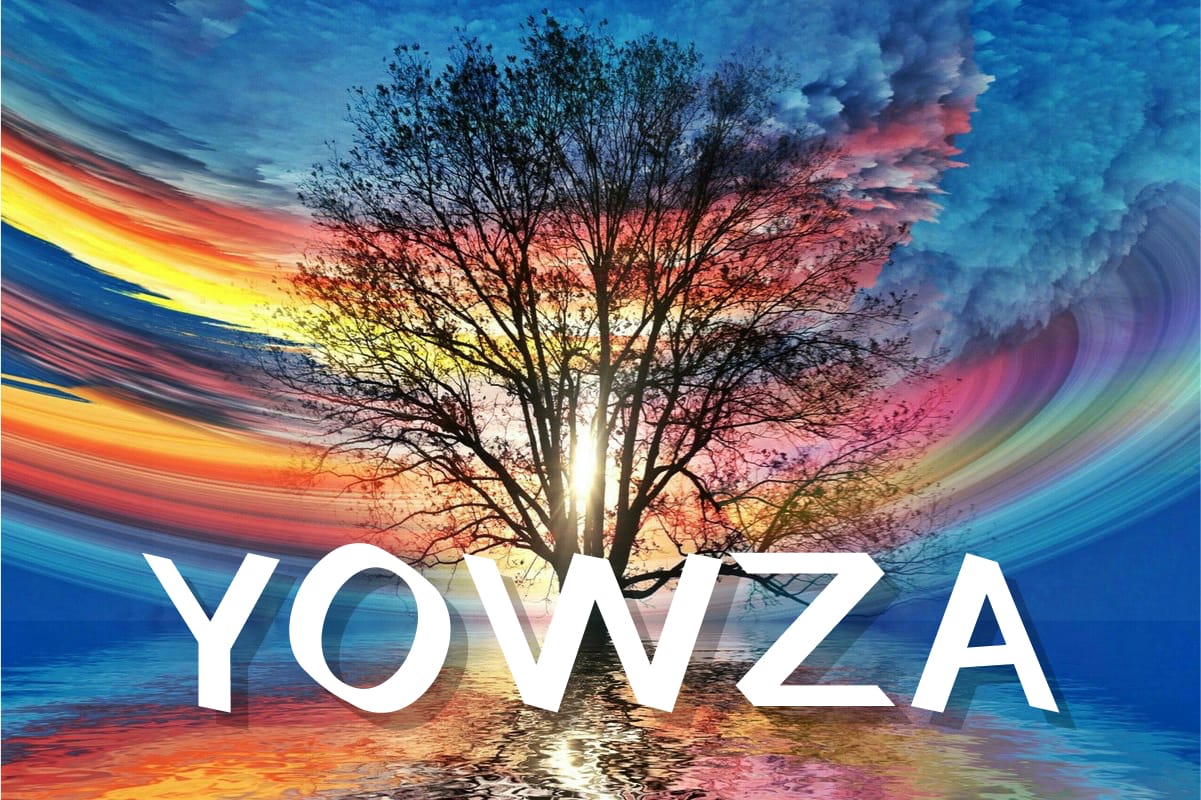 Shazam Stan (@MasterMichel) - Yowza