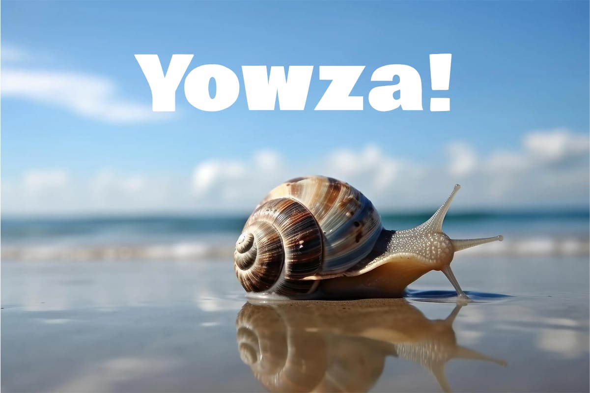 Piooo! (@VioletStereo) - Yowza