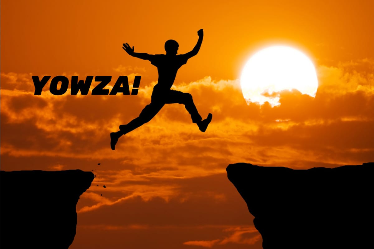 CEO of Yowza! (@simply) - Yowza