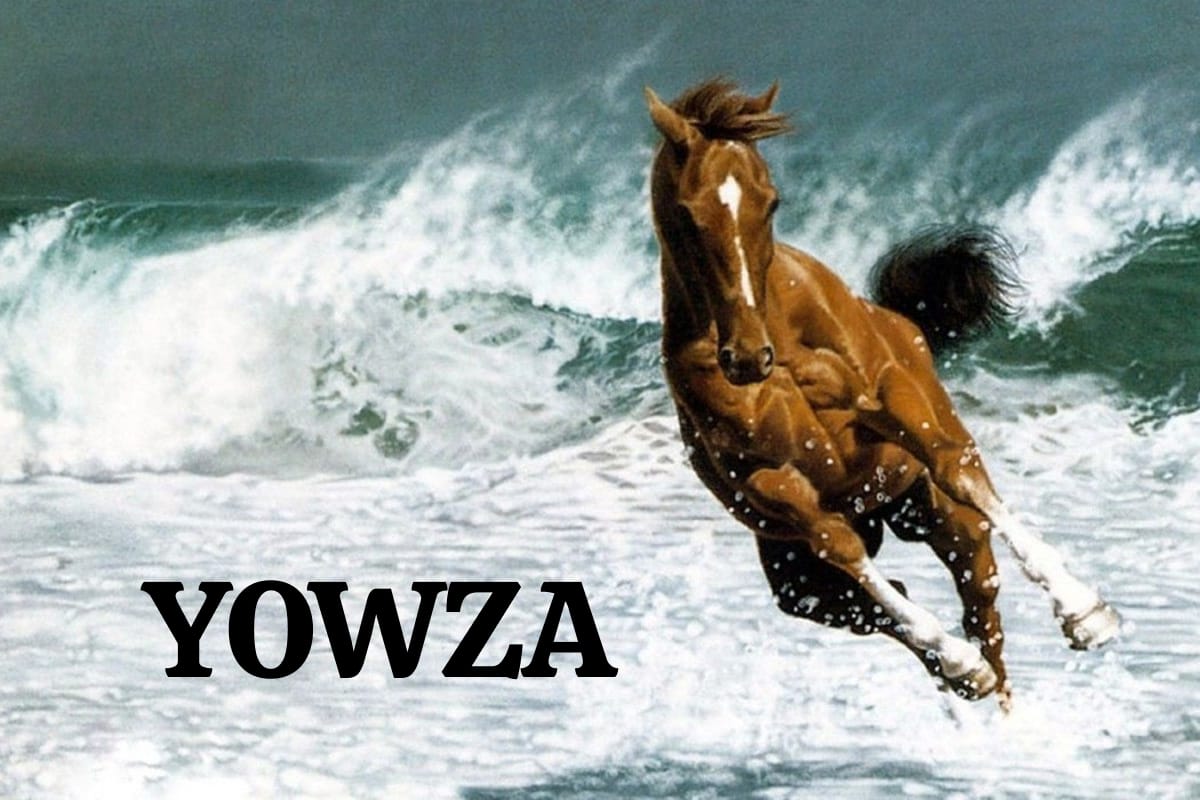 Eyeofra41 (@Eyeofra41) - Yowza