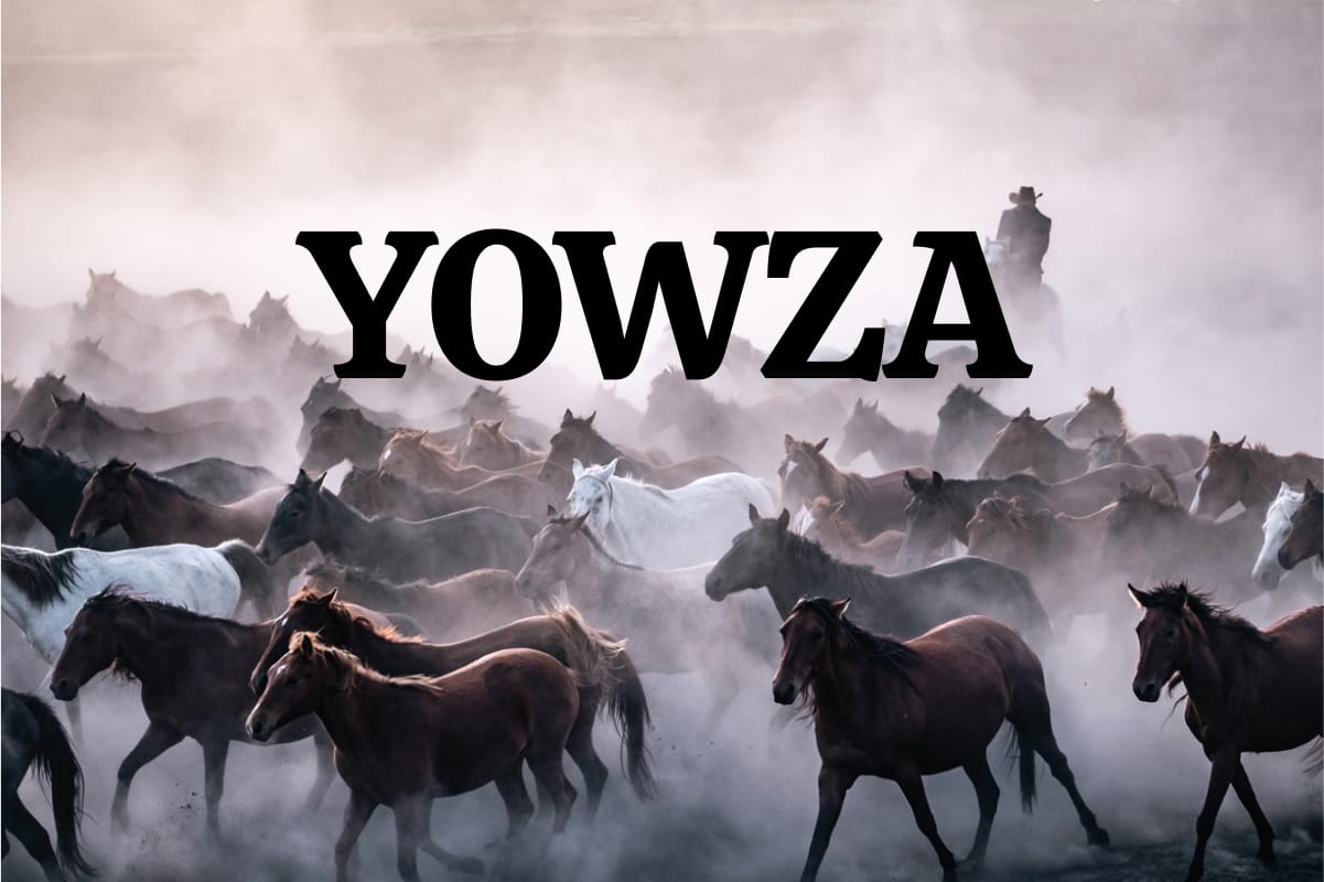 Stinky Toots (@ForrestWalker) - Yowza