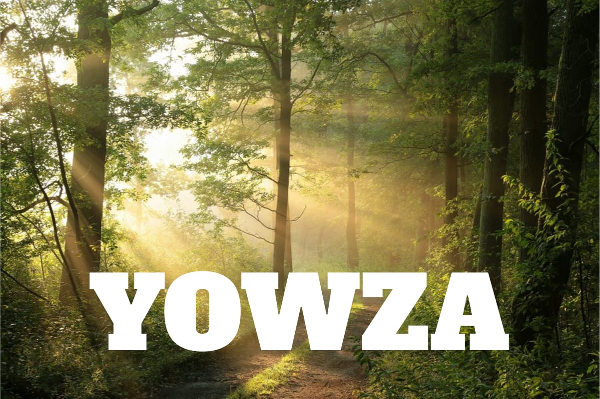 Buffettmania (@Buffettmania) - Yowza
