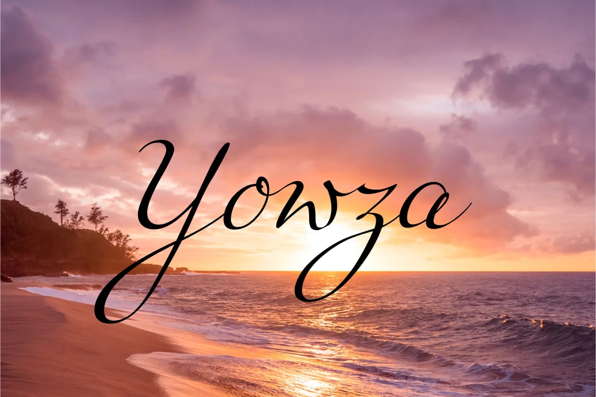 Zagreus Squad THANKS YOU! (@spark) - Yowza