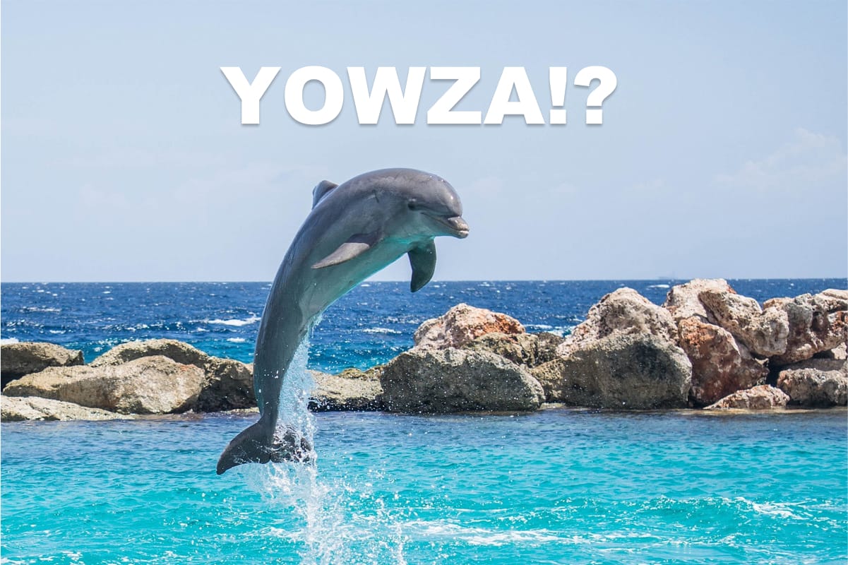 CEO of Yowza! (@simply) - Yowza