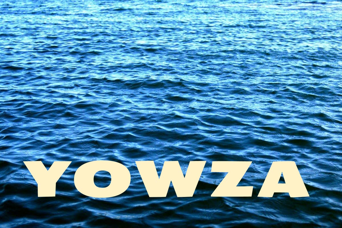 Stephen: "Awooooga" - Yowza