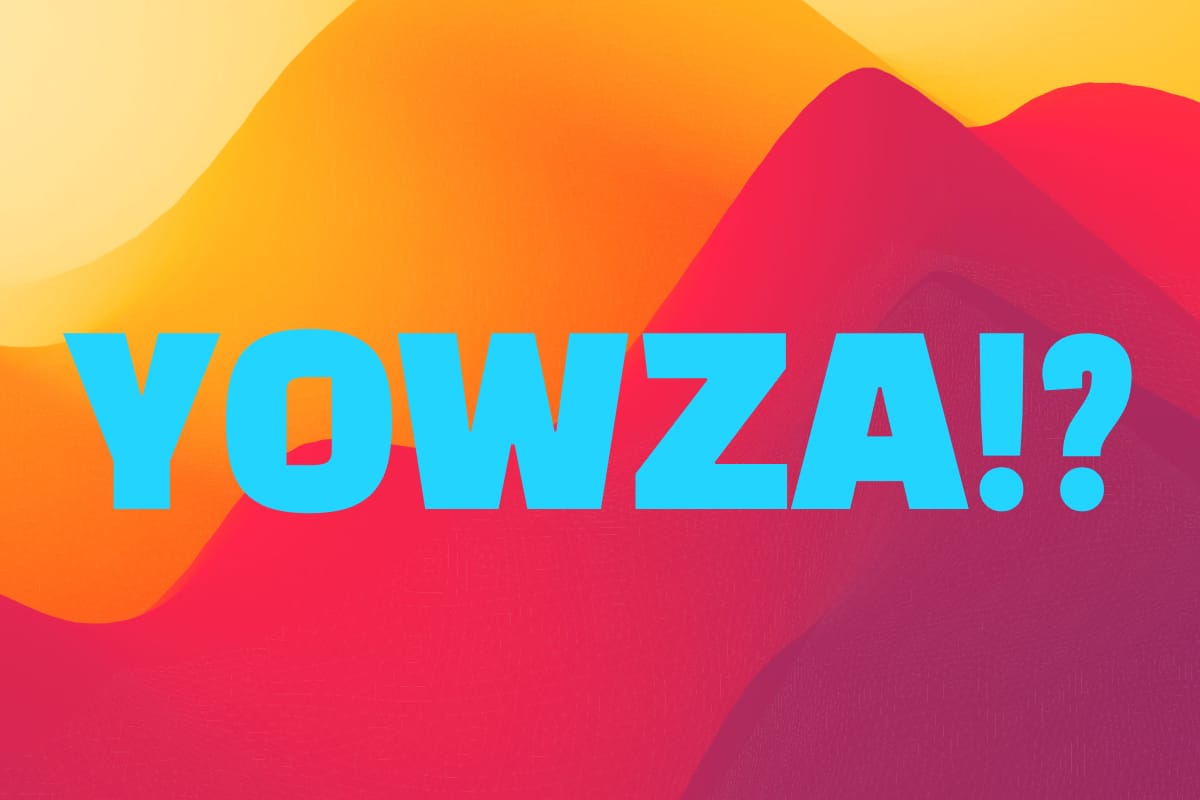 roadkill (@roadkill) - Yowza